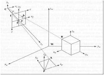 Riding the Tail of Perspective | Eric D. Miller